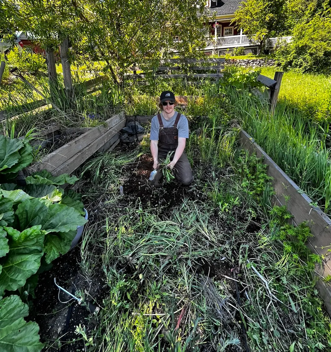 Dependable Odd Job Services in the Kaslo